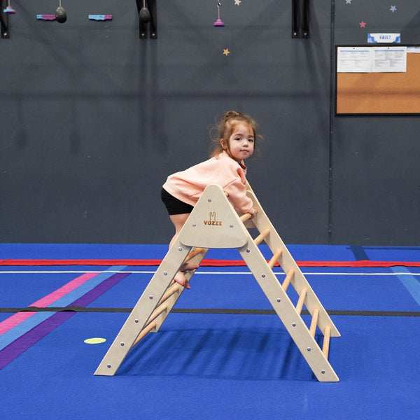 Shop Large Pikler Foldable Climbing Triangle Online - Gym Plus - MEMAX